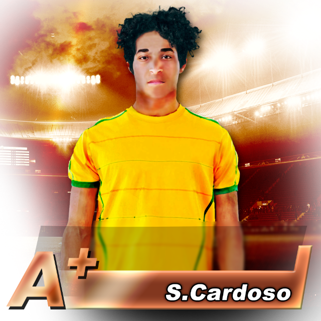 S. Cardoso - Game Changer